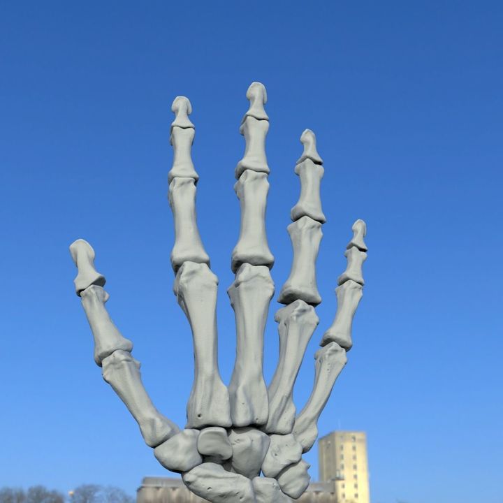 3D Printable Skeleton Hand by hadi halimi